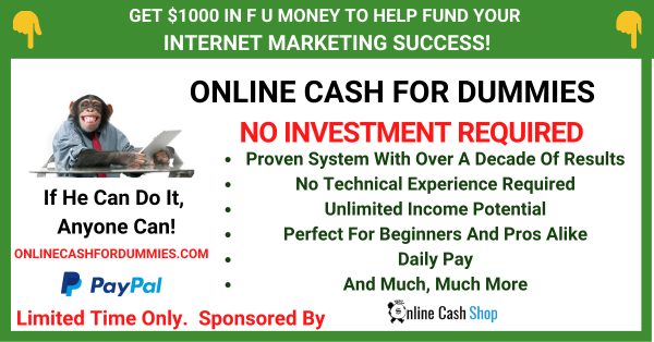 Online Cash For Dummies – The Easiest Money You'll Make Online